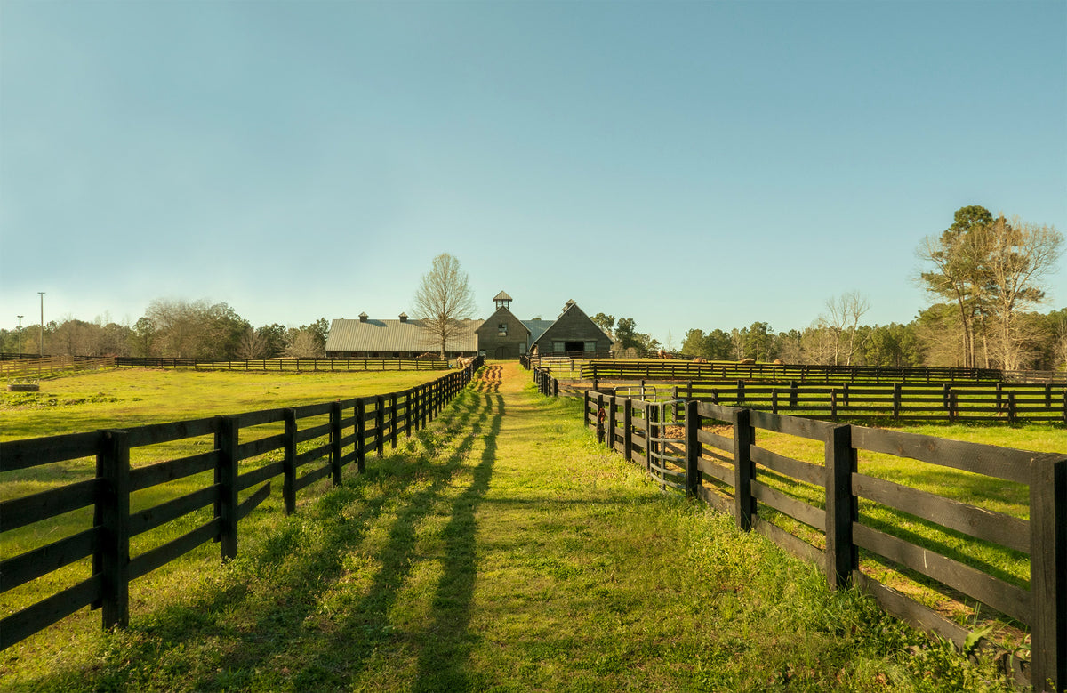 Creek Retreat at Serenbe - Skin and Body Transformation